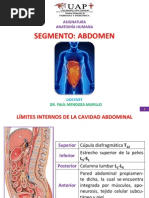 Anatomia de La Rata Externa e Interna Tacher | PDF | Riñón | Abdomen