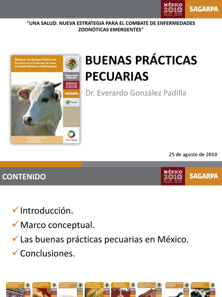 Buenas Practicas Pecuarias | PDF | Alimentos | Contaminación