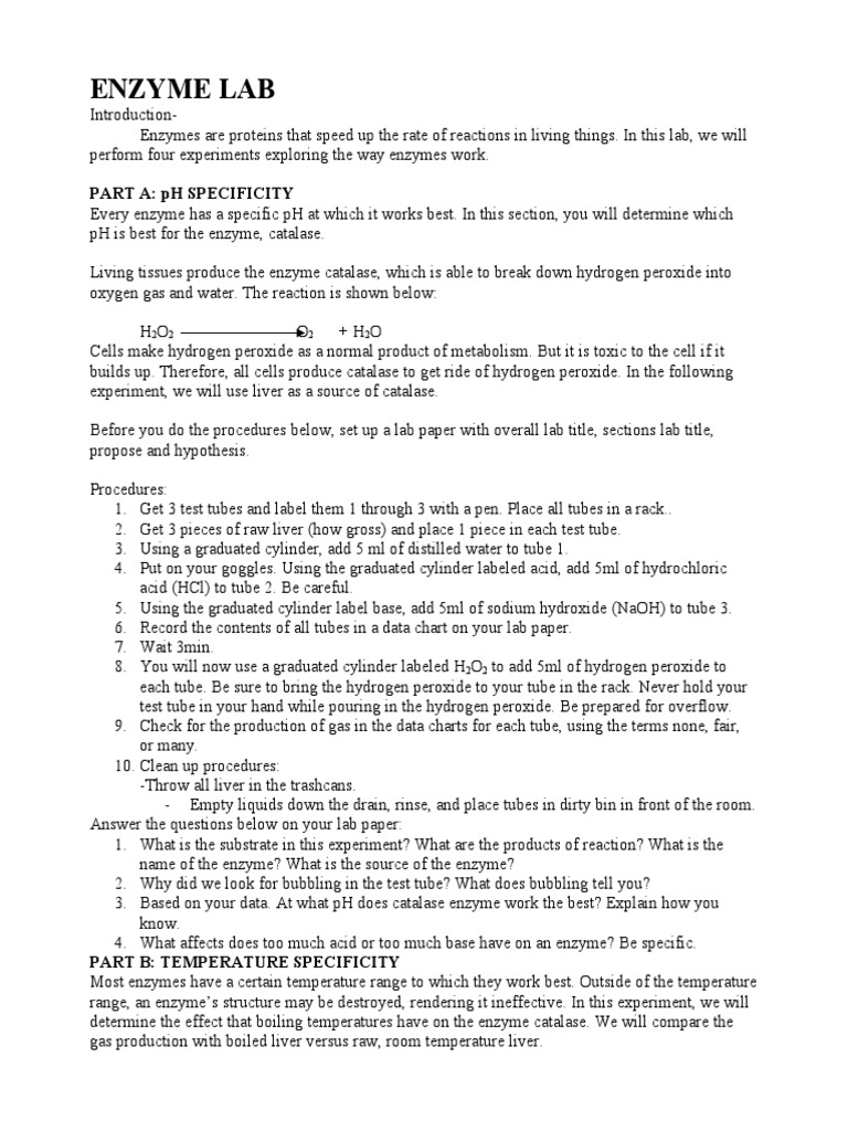 Enzyme Lab - Enzyme Experiment | PDF | Catalase | Peroxide