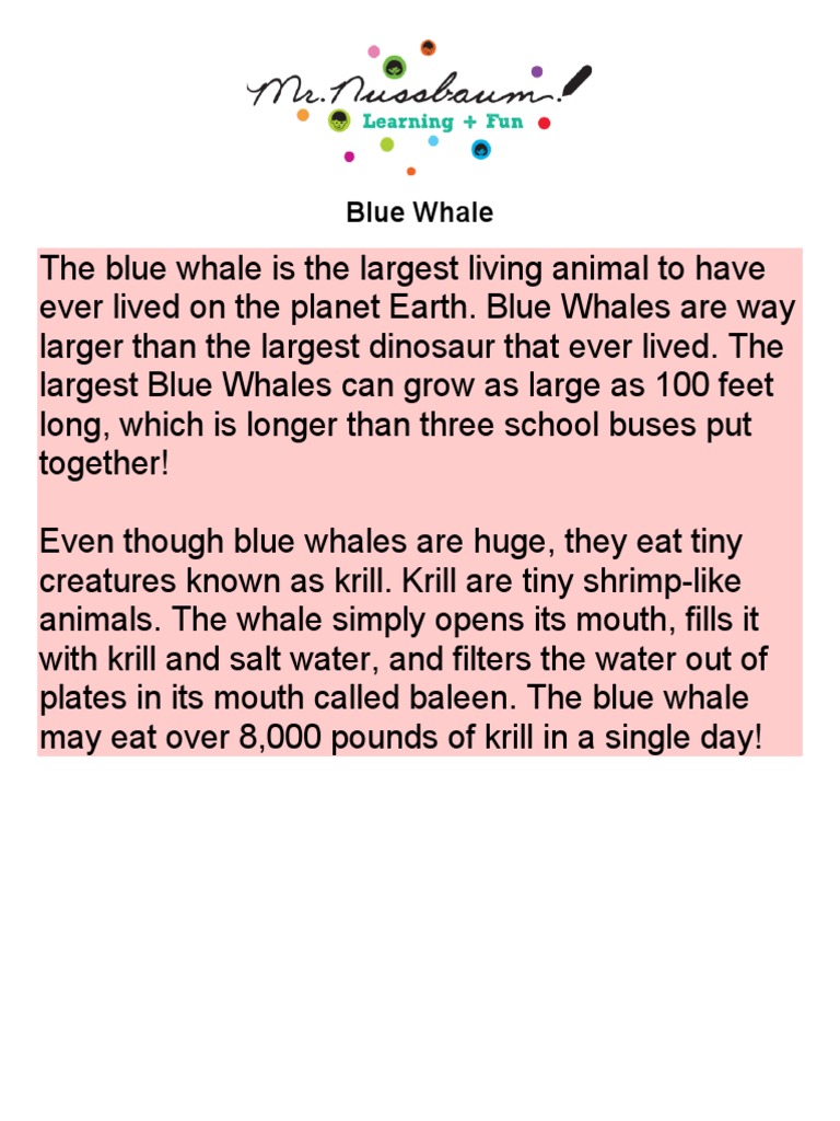 Blue Whale: Earth's Largest Animal | PDF | Home & Garden