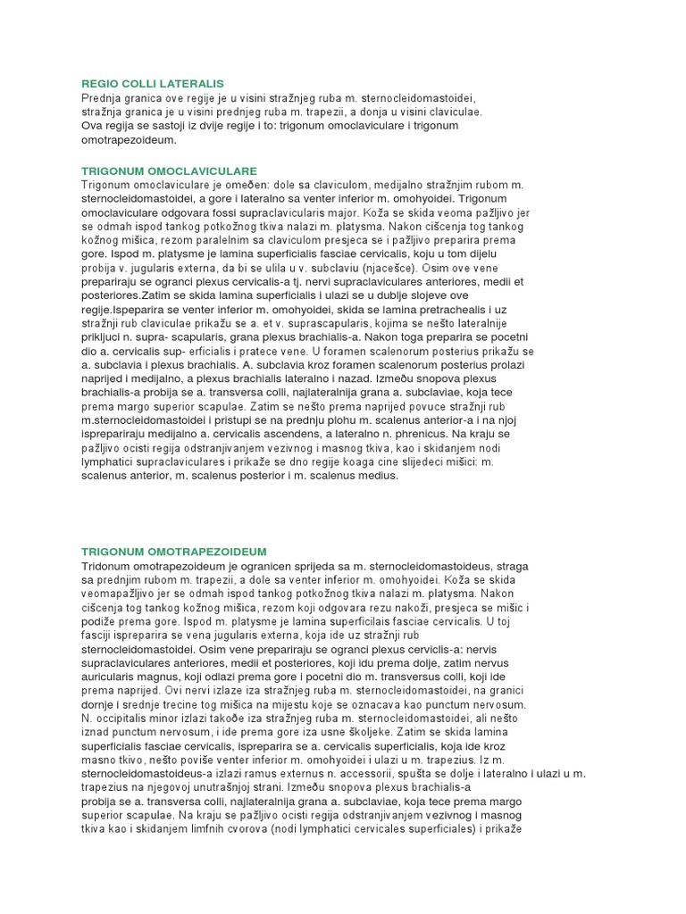 Regije - Anatomija | PDF