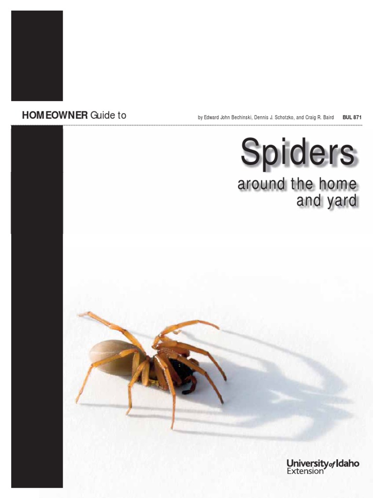 Spiders: Around The Home and Yard | PDF | Spider | Spider Web