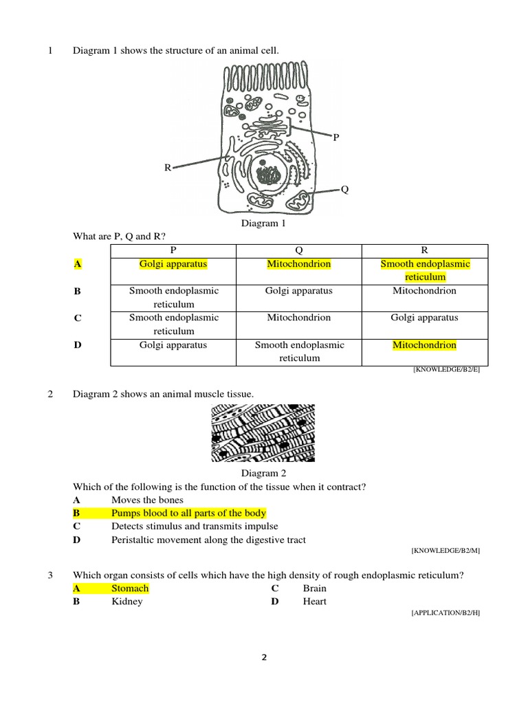 Soalan Biologi Tingkatan 4 | PDF | Meiosis | Chlorofluorocarbon