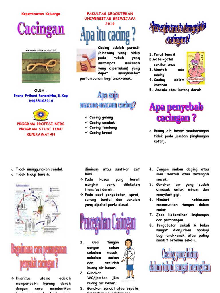 Leaflet Cacingan