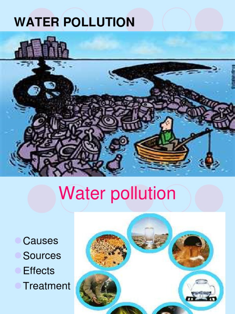 Understanding Water Pollution Causes | PDF | Water Pollution | Sewage ...