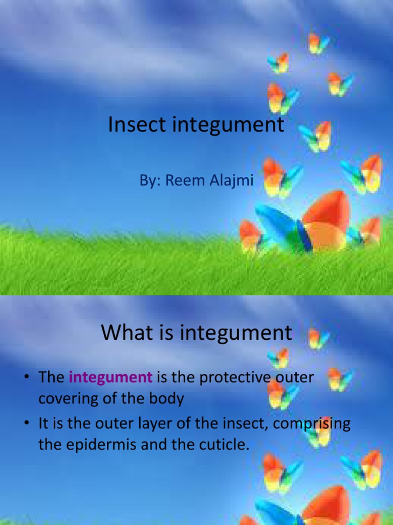 Insect Integument | Cell Membrane | Cell Biology