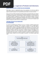 Proceso Caritas | PDF | Enfermería | Teoría