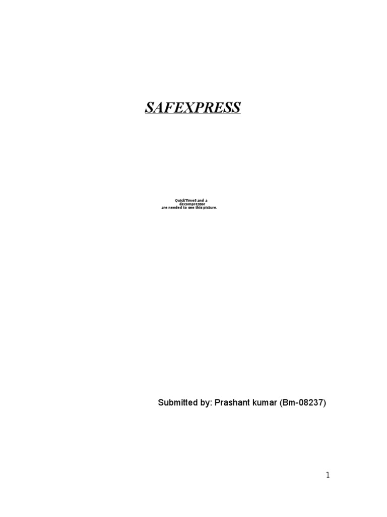 Safexpress: India's Leading Logistics Provider | PDF | Supply Chain ...