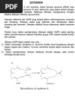 Struktur Umum Alkaloid | PDF | Sains & Matematika