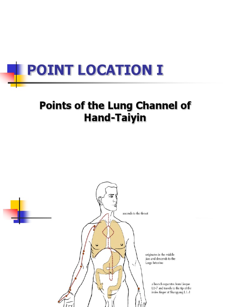 Class 2 - Hand Tai-Yin Lung Channel | PDF | Arm | Cough