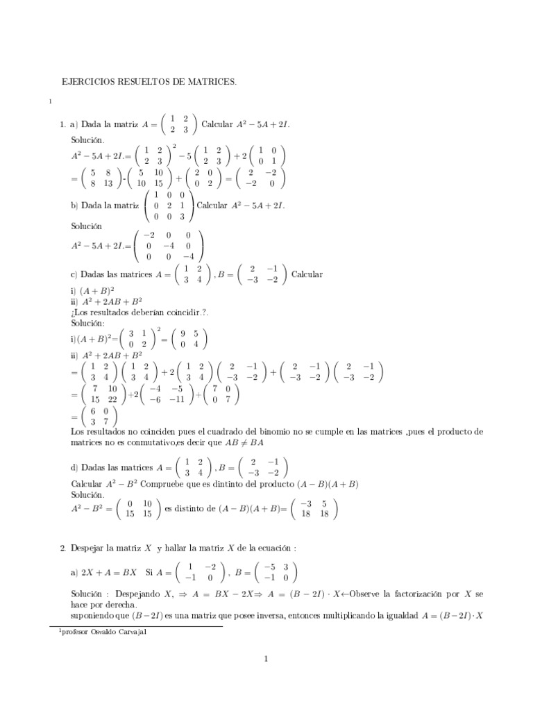 Matrices - Ejercicios Resueltos PDF | PDF | Matriz (Matemáticas) | Álgebra lineal