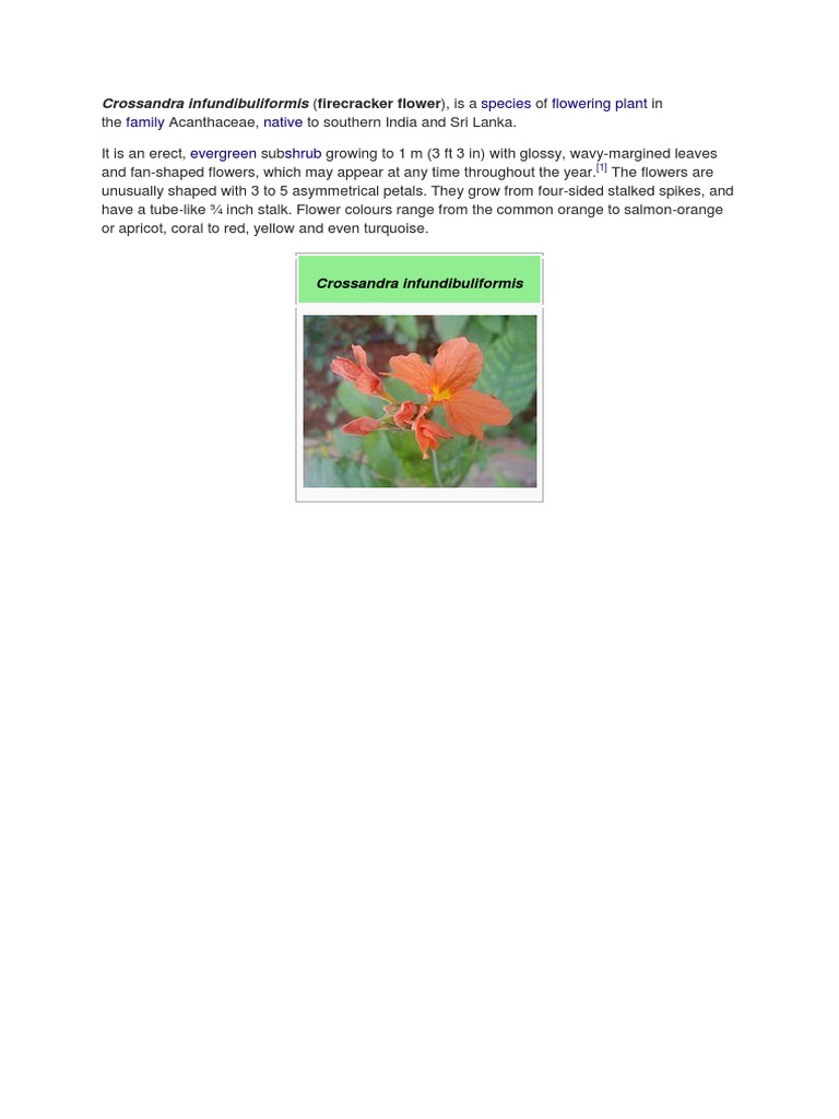 Crossandra Infundibuliformis Overview | PDF | Home & Garden