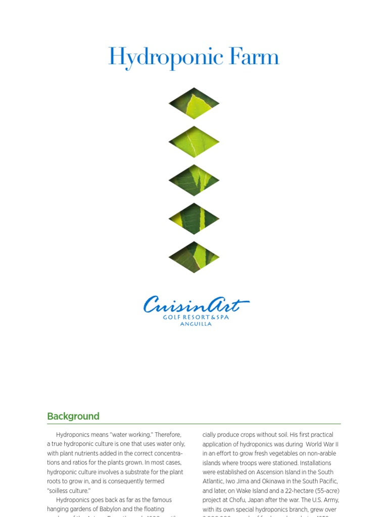 13cs056 Hydroponic Brochure | Hydroponics | Tomato