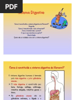 Quimo e Quilo | PDF | Digestão | Estômago