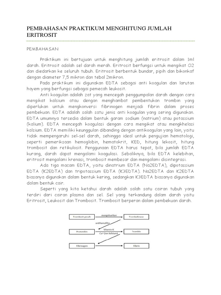 Pembahasan Praktikum Menghitung Jumlah Eritrosit | PDF