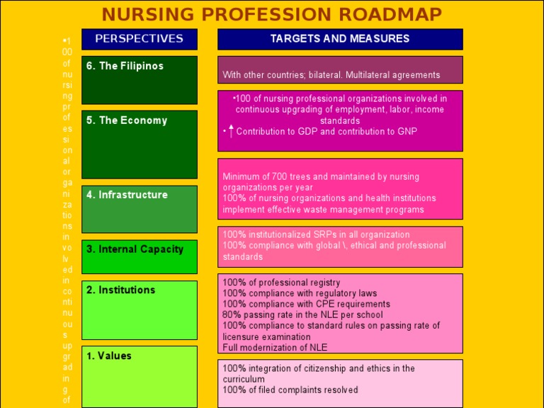 Nursing Profession Roadmap | PDF
