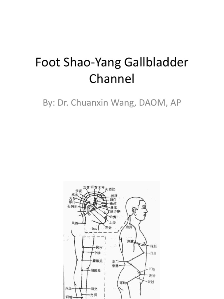 Class 9 - Foot Shao-Yang Gallbladder Channel | Animal Anatomy | Limbs ...