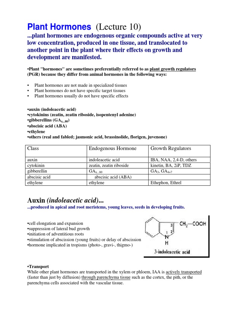 Lecture On Plant Hormones | PDF | Plant Hormone | Auxin
