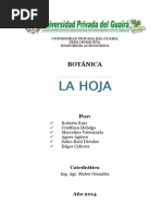 Limbo | PDF | Hoja | Botánica