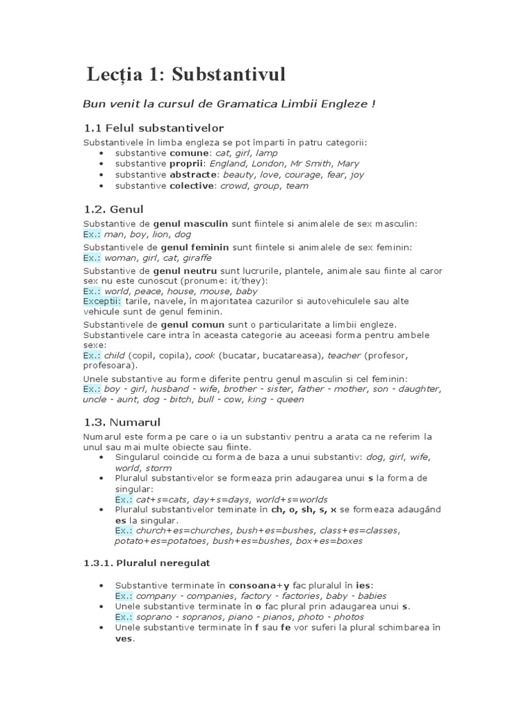 Carte Gramatica Engleza de Invatat | PDF