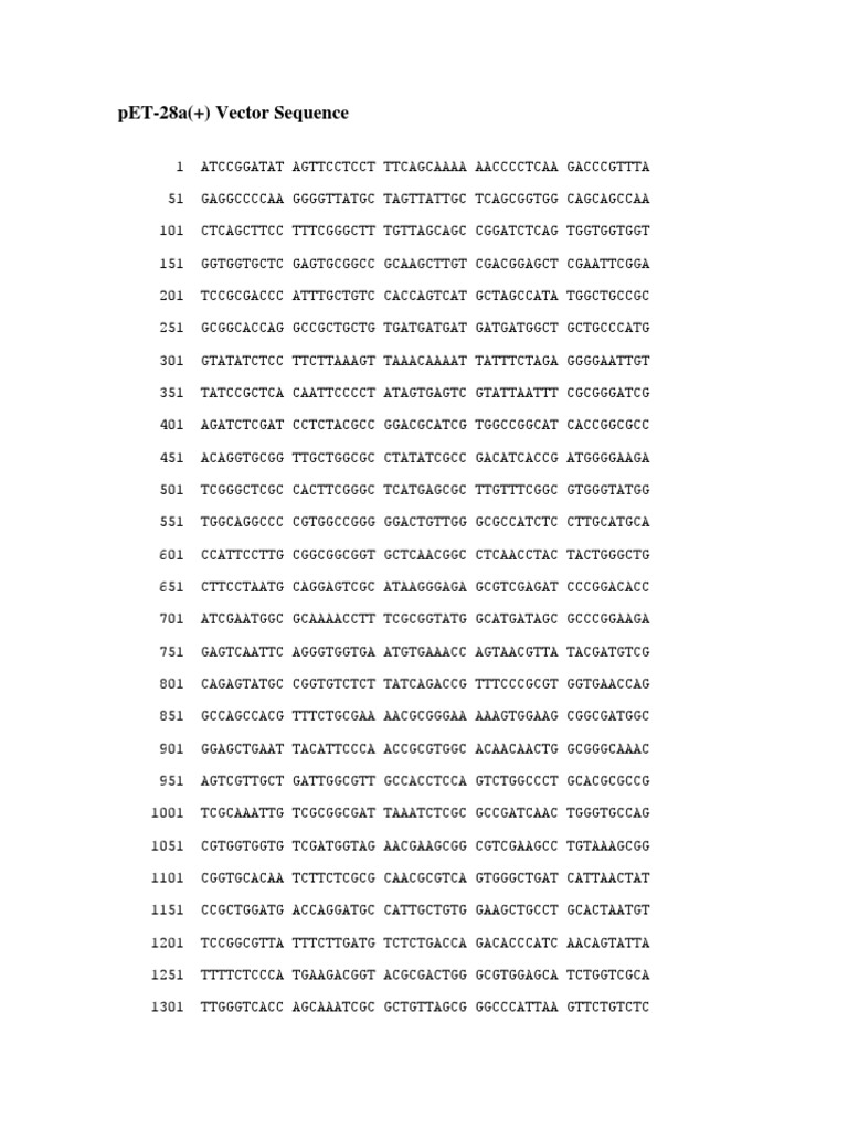 pET-28a(+) Vector Sequence Details | PDF