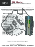 Innerlynx Sizing Calculator Guide | PDF | Computers | Technology ...