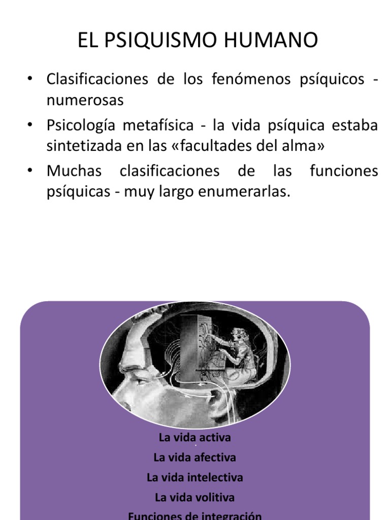 El Psiquismo Humano | PDF | Psique (psicología) | Sistema nervioso