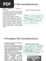 Prueba de Adams | PDF | La columna vertebral | Escoliosis