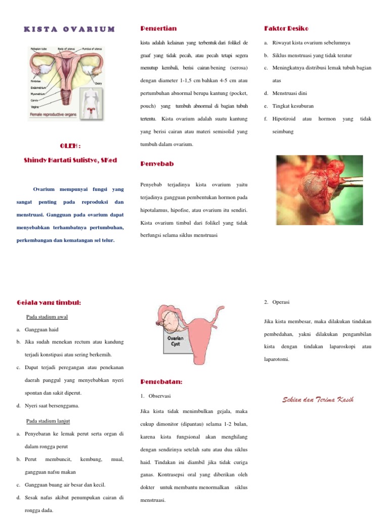 Leaflet Kista Ovarium | PDF