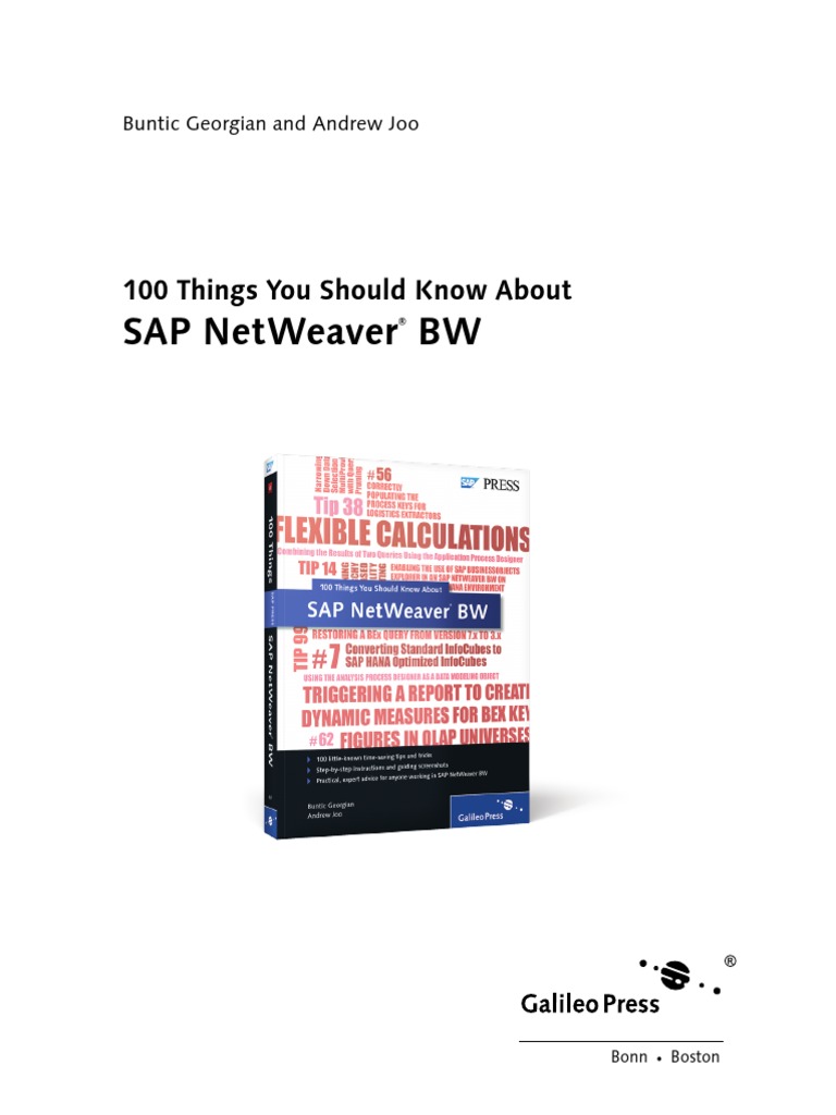 Sappress 100 Things Sap Netweaver BW | PDF | Microsoft Excel | Sap Se