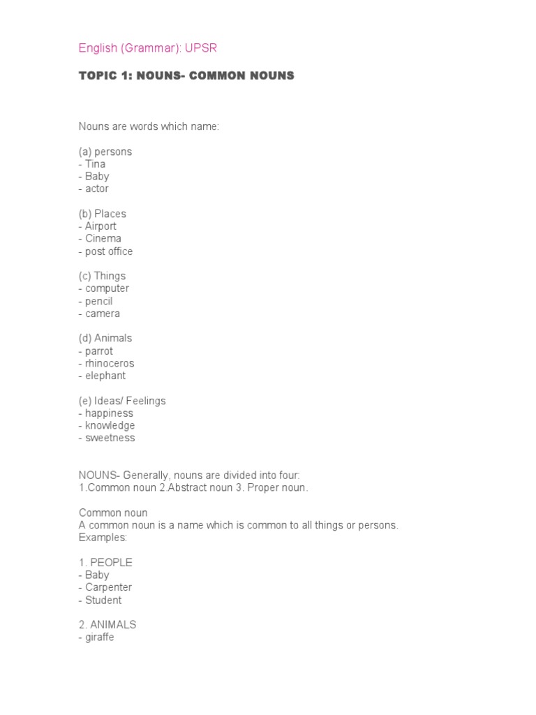 UPSR Grammar: Understanding Nouns | PDF