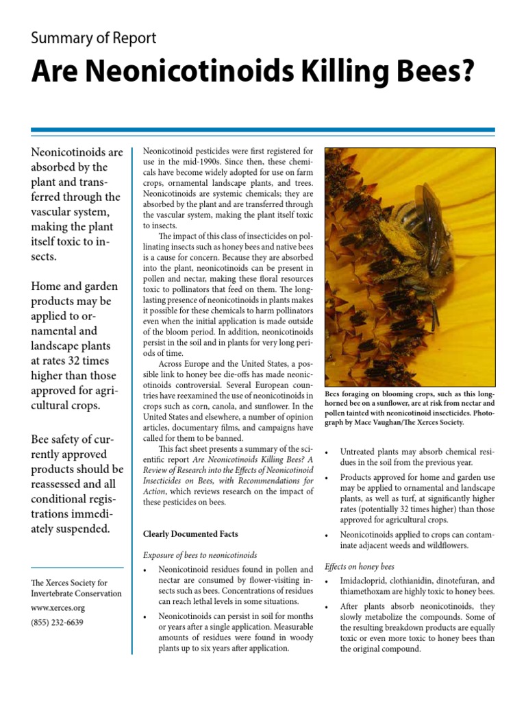 Neonicotinoids and Bee Safety Concerns | PDF | Honey Bee | Agricultural ...