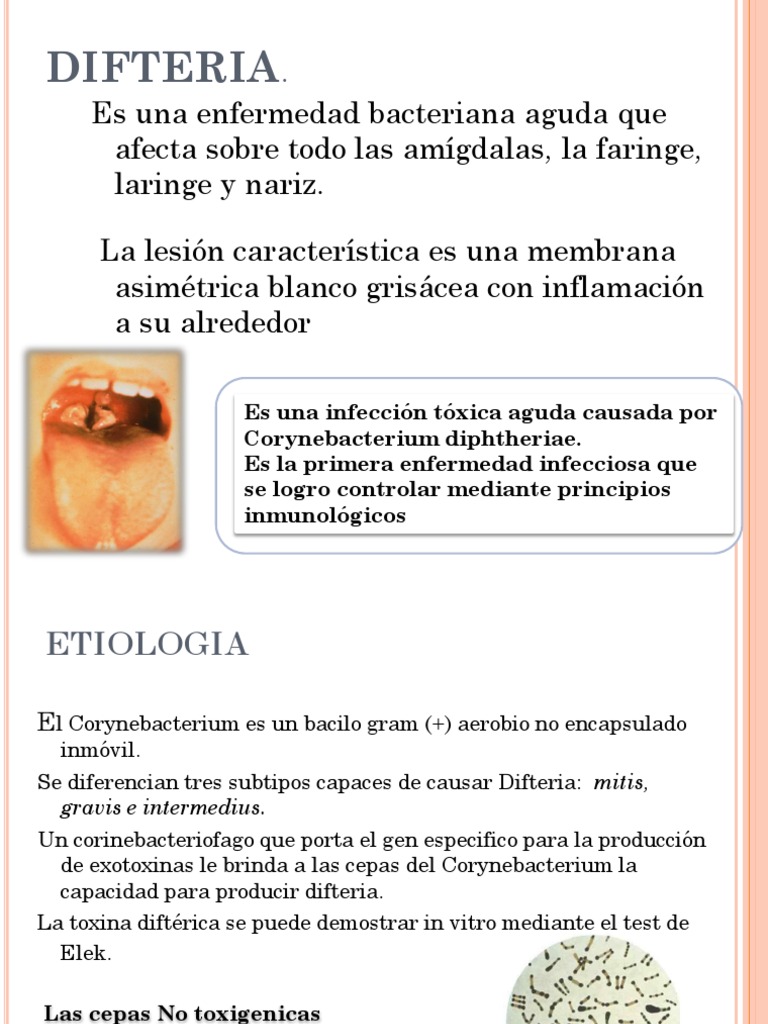 Difteria 110928175330 Phpapp02 | PDF | Epidemiología | Enfermedades y trastornos