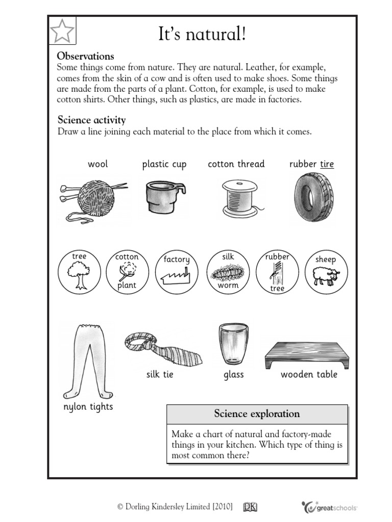 science worksheet | Paper | Cotton