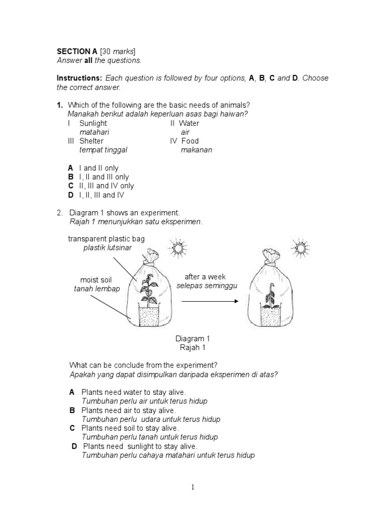 Answer All The Questions | Download Free PDF | Litre