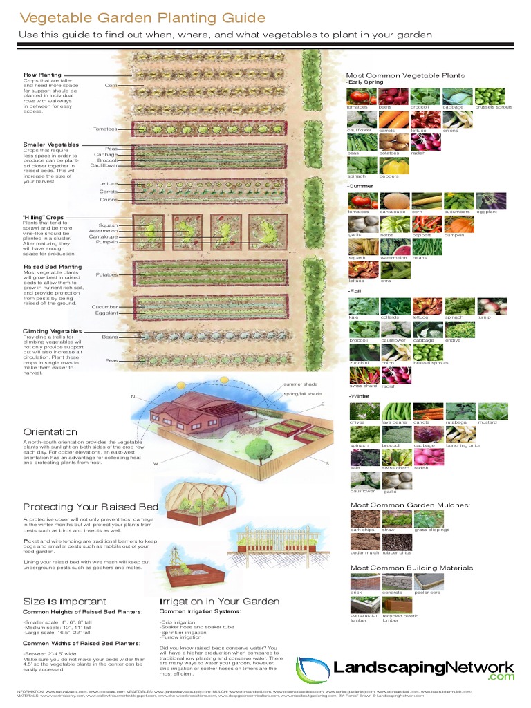 Vegetable Garden Planting Guide: Use This Guide To Find Out When, Where ...