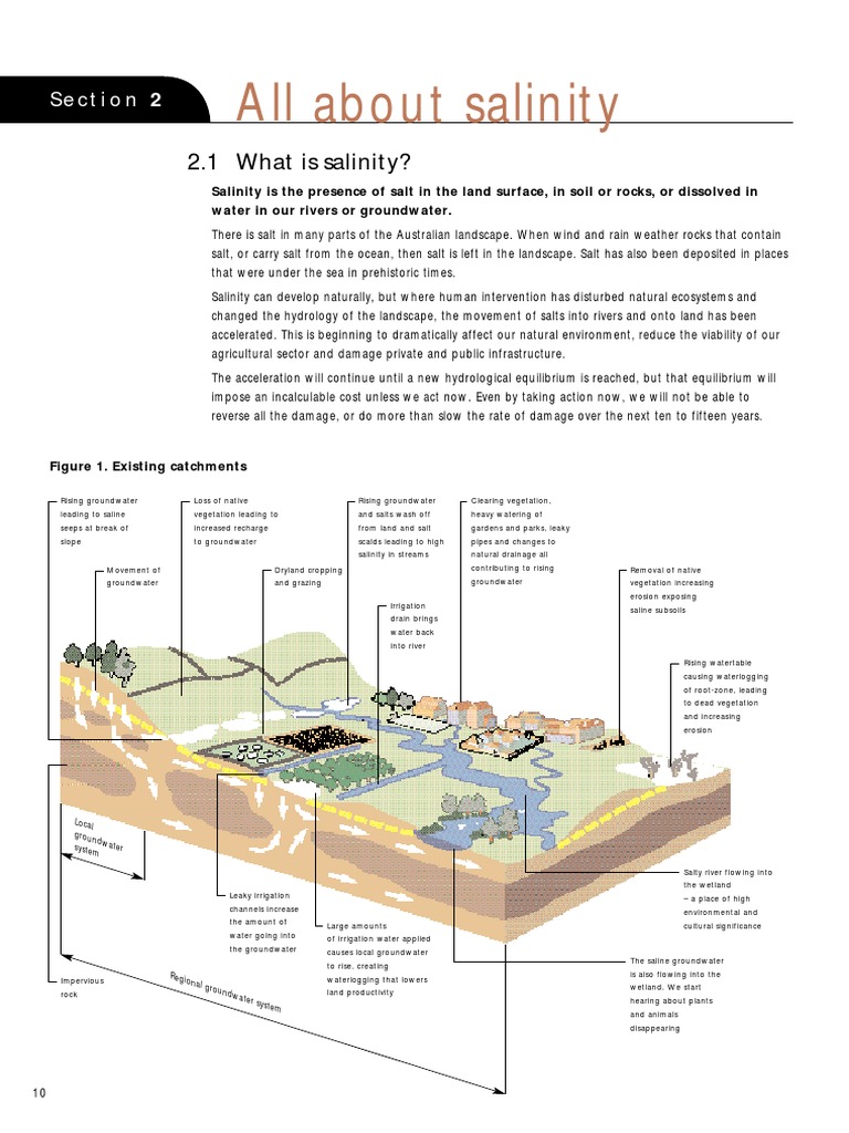 All About Salinity | PDF | Groundwater | Drainage