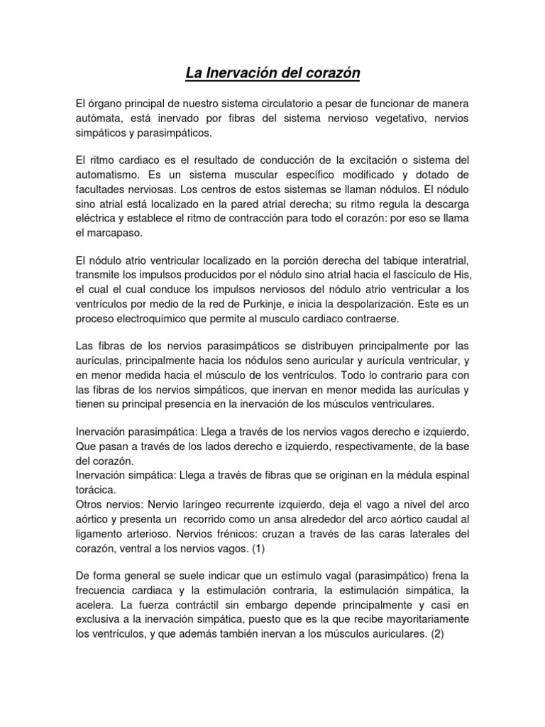 Inervación del Corazón y su Función | PDF | Ventrículo (corazón) | Corazón
