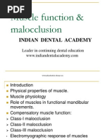 Short Table of Muscle Control Exercises - The Maxalding | PDF | Arm ...