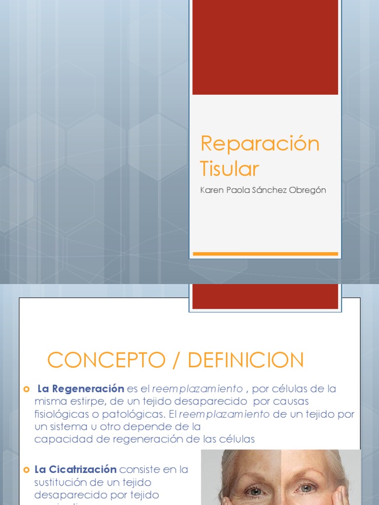 Reparación Tisular | PDF | Regeneración (biología) | Cicatrización de ...
