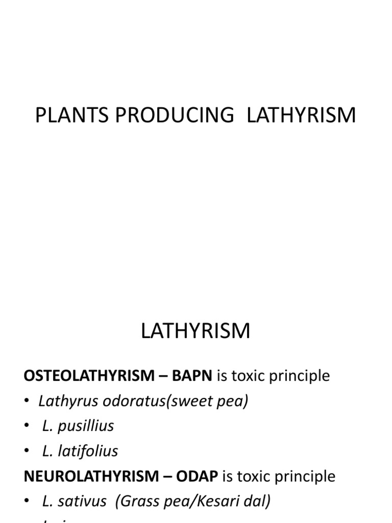 LATHYRISM AND PHOTOSENSiTIZATION | PDF | Radical (Chemistry) | Medical ...