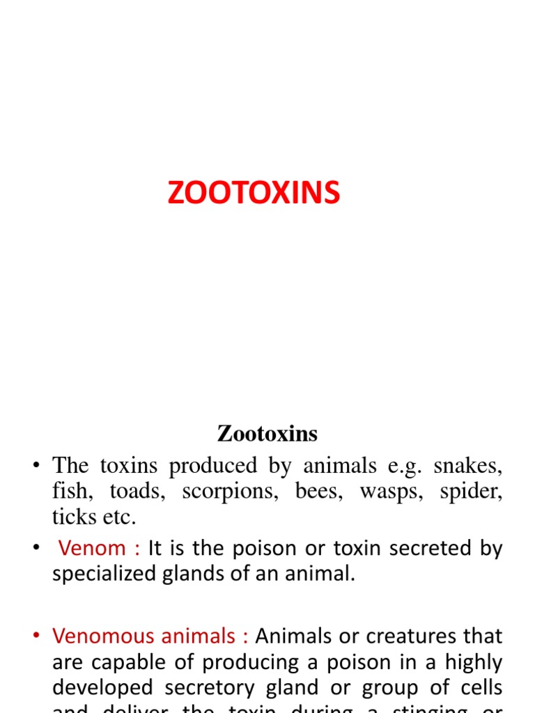 ZOOTOXINS | PDF | Venom | Neuromuscular Junction