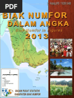 Peta Administrasi Kabupaten Biak Numfor