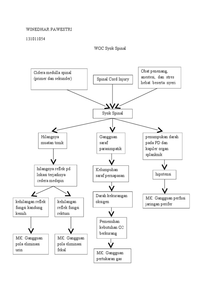 WOC Spinal Syok | PDF
