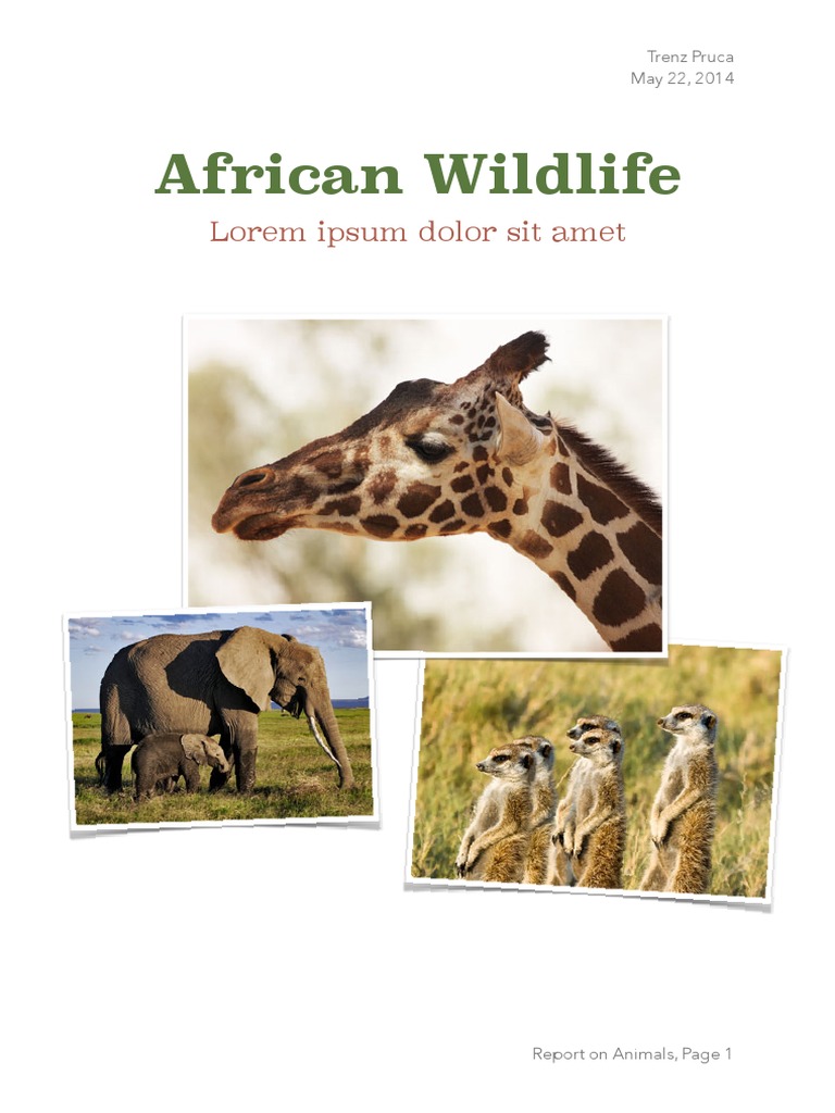 Visual Report on African Wildlife | PDF