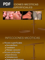 Portil: Crema para Infecciones Cutáneas | PDF | Antimicrobiano ...