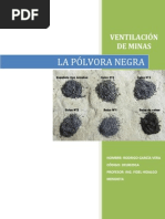 Clasificacion de La Polvora | PDF | Pólvora | Pirotécnica