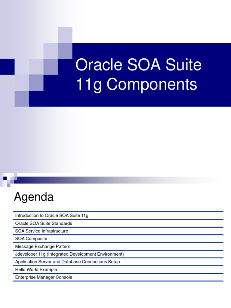 Oracle SOA Suite 11g Components | PDF | Service Oriented Architecture | Web Service