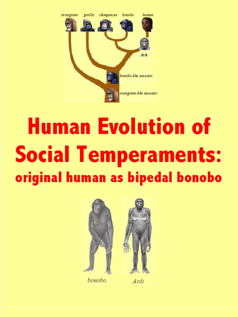 Human Evolution of Social Temperaments: Original Human As Bipedal ...