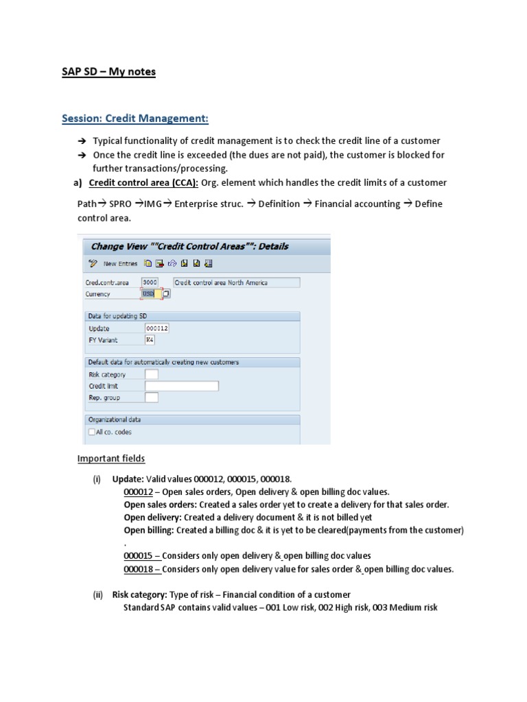 My SAP SD Notes | PDF | Invoice | Debits And Credits